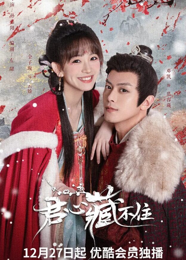 Governor's Secret Love - Chinese Drama 2023 - CPOP HOME